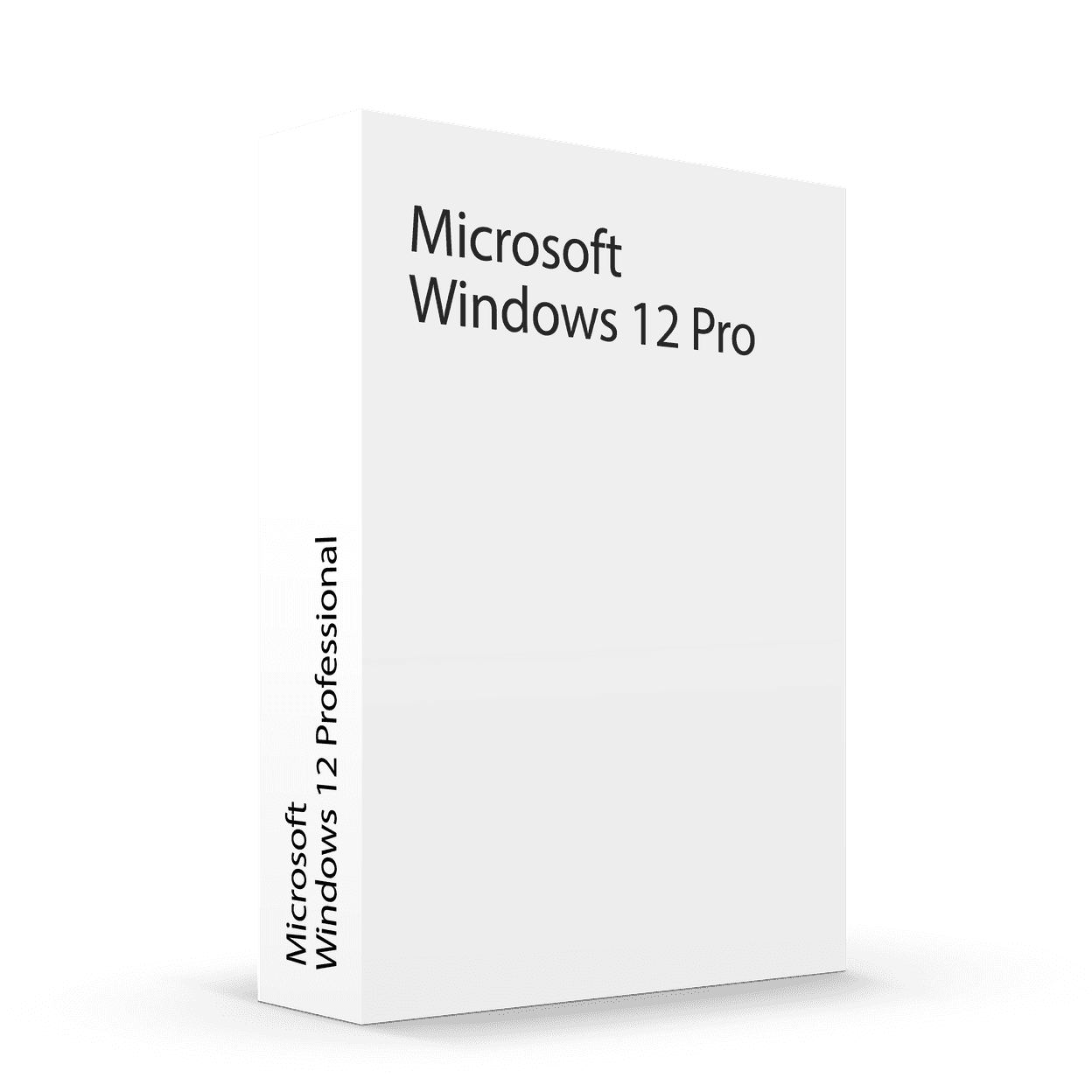 Windows 12 Professional – Onlinekeys.nl